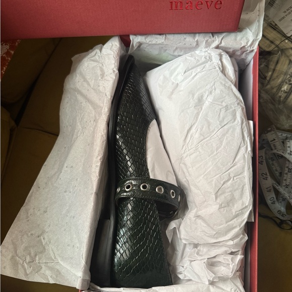 Maeve | Shoes | Maeve Anthropologie Pointedtoe Moto Mary Jane Flats ...